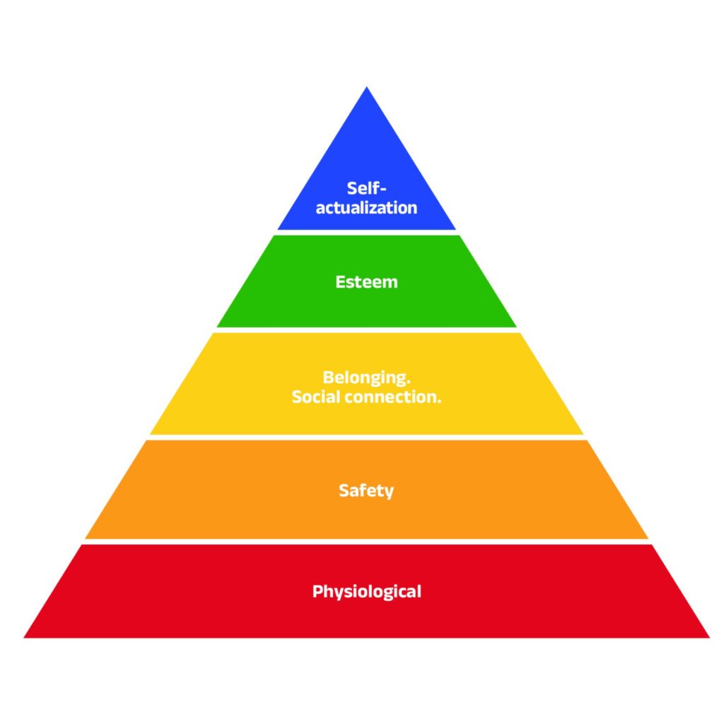 what employees need for brands to excel | SJI Associates